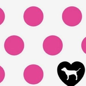 PINK Victoria's Secret | Accessories | Victorias Secret Pink Vintage ...